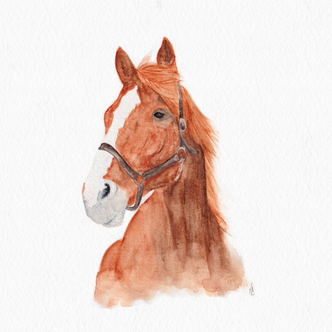 Cómo pintar un caballo en acuarela - Nadia Altaparro